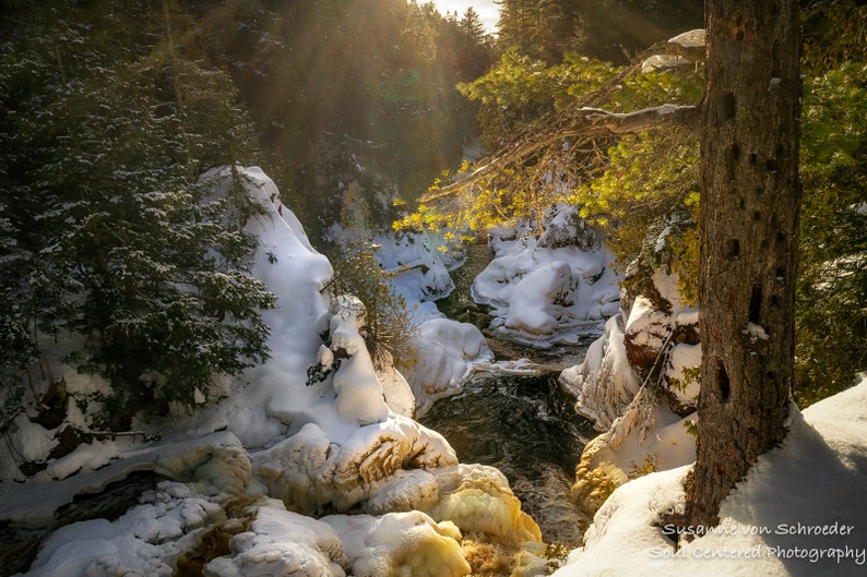 Nature Photography, Winter Scene, Sun Light, Forest, North Woods ...
