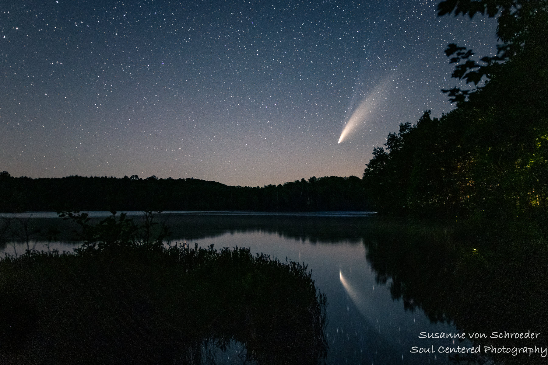 Astro Photography, Comet Neowise, Celestial Visitor, Firefly Photo ...