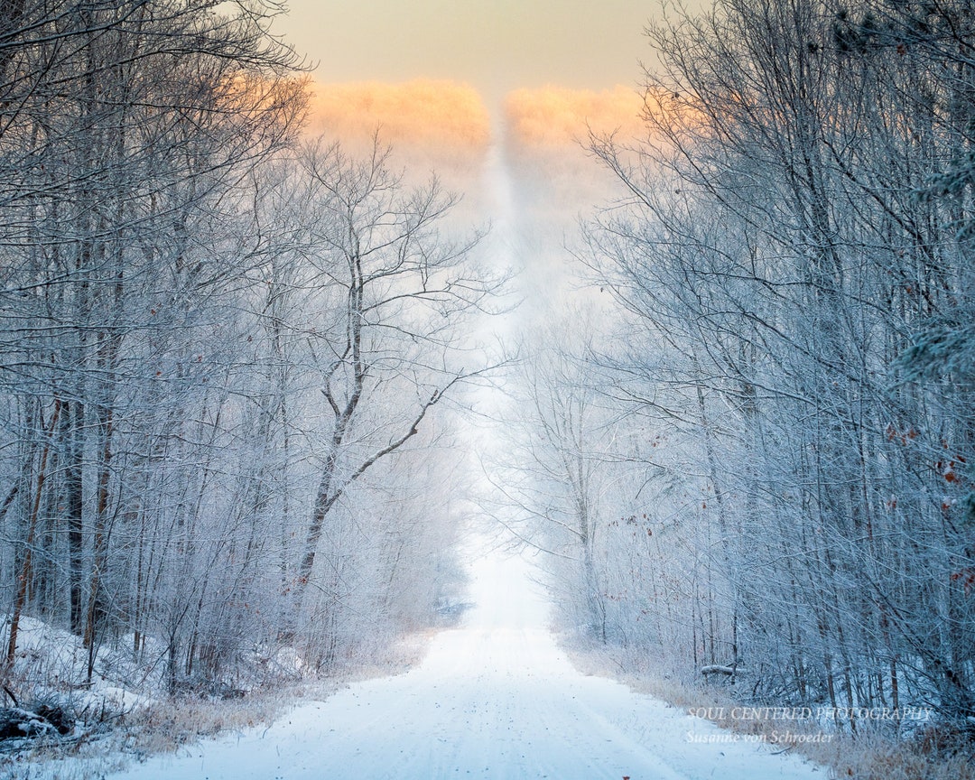 Nature Photography, Winter Road, Hoarfrost, Fine Art Print, Winter ...