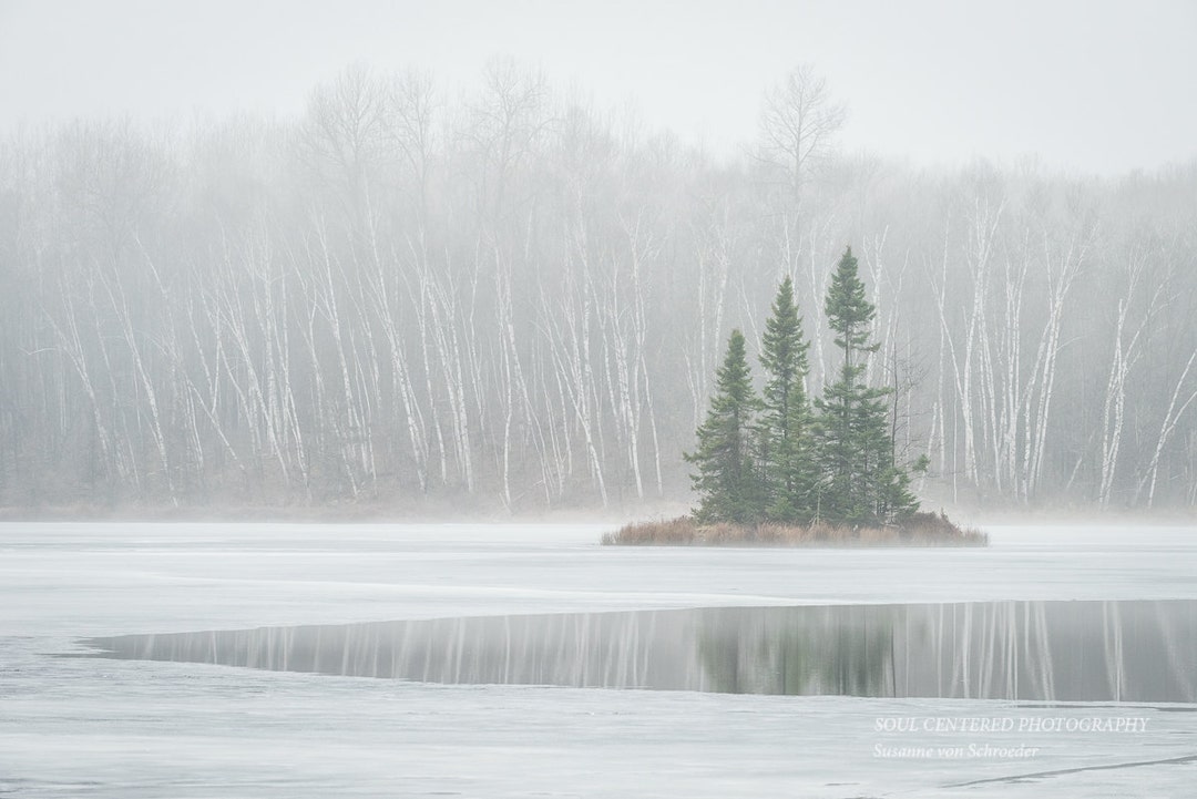 Nature Photography, Tree Reflections, Birch Trees, Spruce, Fine Art ...