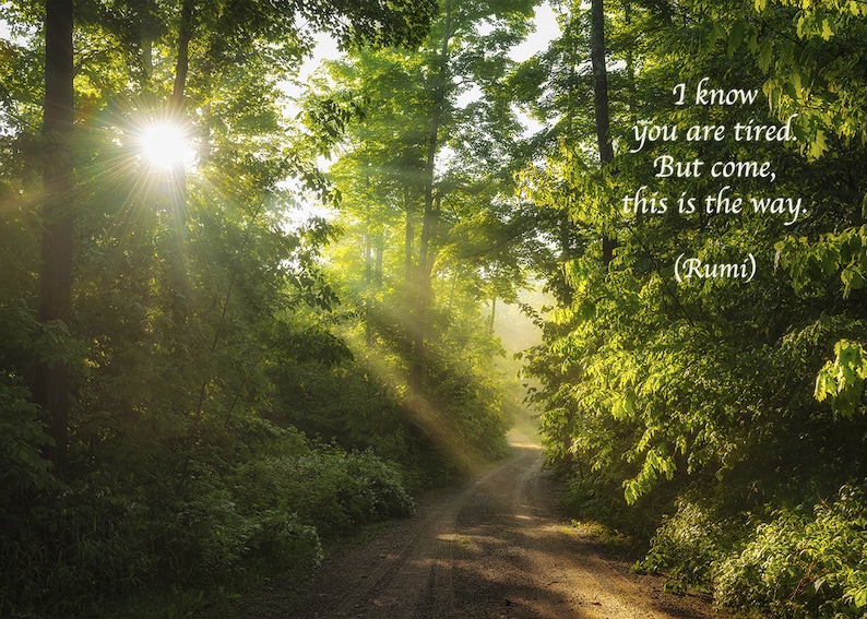 Rumi Quote, Inspirational Poetry, Greeting Card, Enchanted Forest, Sun ...