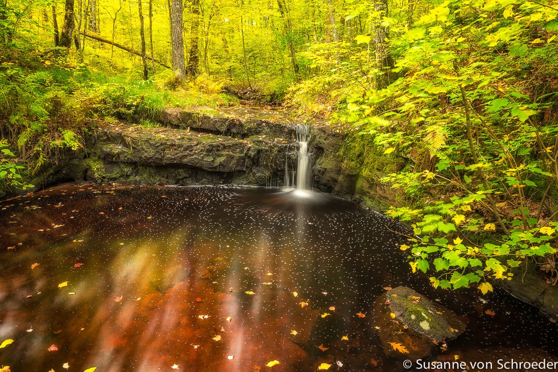 Waterfall Photography Spring Forest Fine Art Print - Etsy