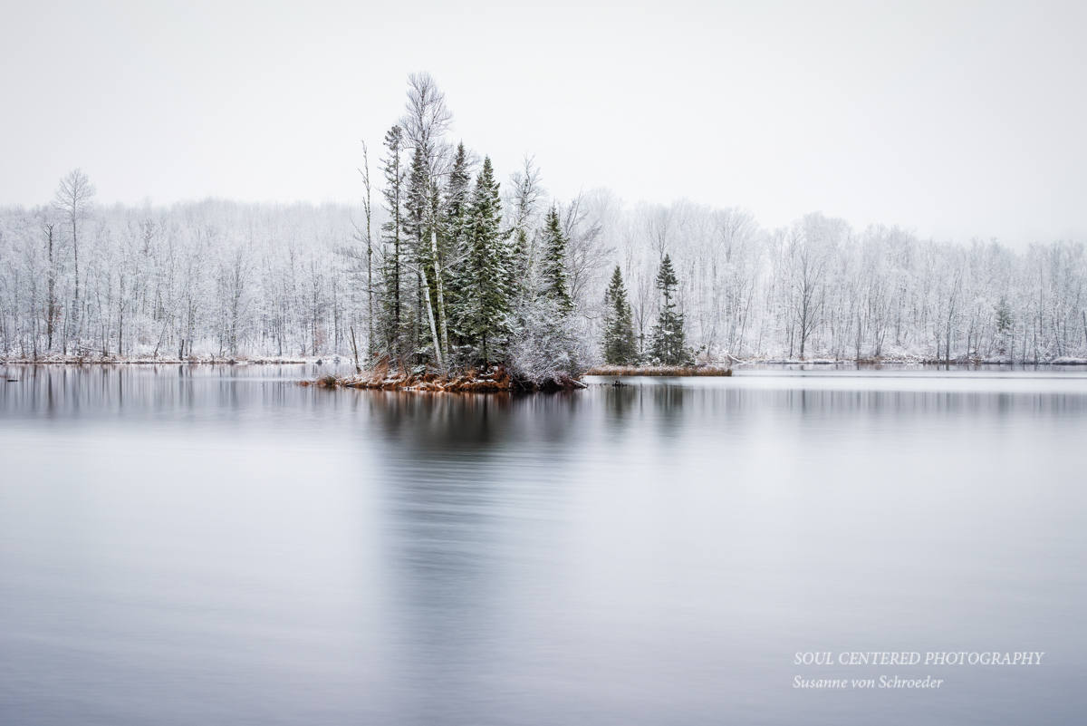 Nature Photography, Winter Landscape, Snow, Birch Trees, Spruce, Fine ...