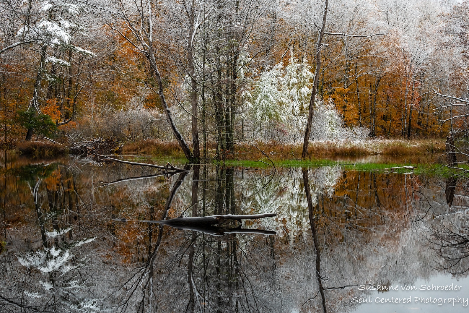 Nature Photography, First Snowfall, Magical Woodland, Autumn, Lake ...
