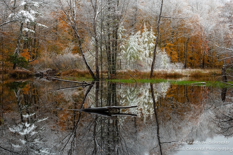 Nature Photography First Snowfall Magical Woodland Autumn | Etsy