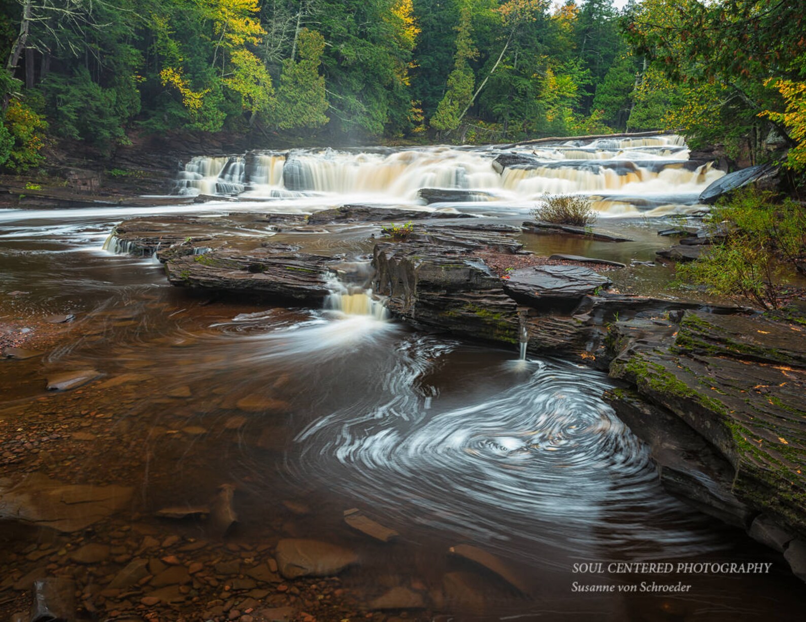 Nature Photography, Old Growth Forest, Porcupine Mountains, Michigan ...
