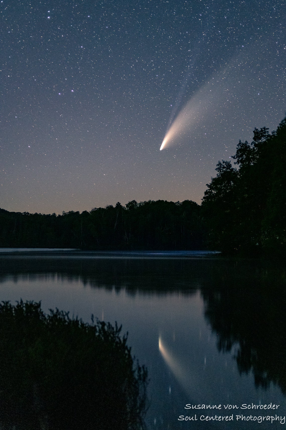 Astro Photography, Comet Neowise, Celestial Visitor, Firefly Photo ...