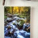 Autumn Photography Waterfall Photo Woodland Creek Fine Art - Etsy