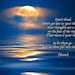 Rumi Quote, Inspirational Poetry, Greeting Card, Moon, Reflection, Lake ...