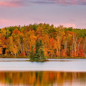Nature Photography, Autumn Landscape, Dawn, Birch Trees, Fall Colors ...