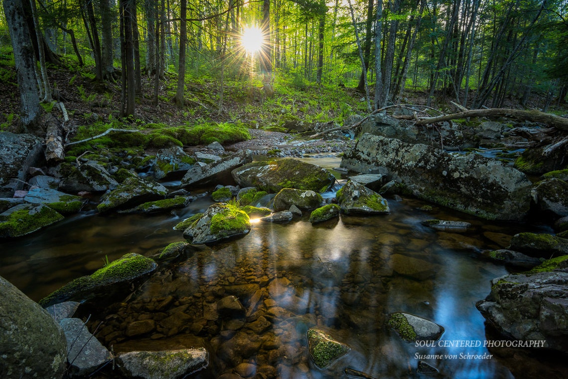 Nature Photography, Magical Woodland Scene, Summer, Creek, Fine Art ...