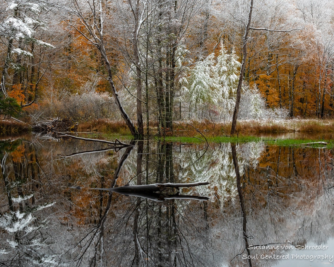 Nature Photography First Snowfall Magical Woodland Autumn - Etsy