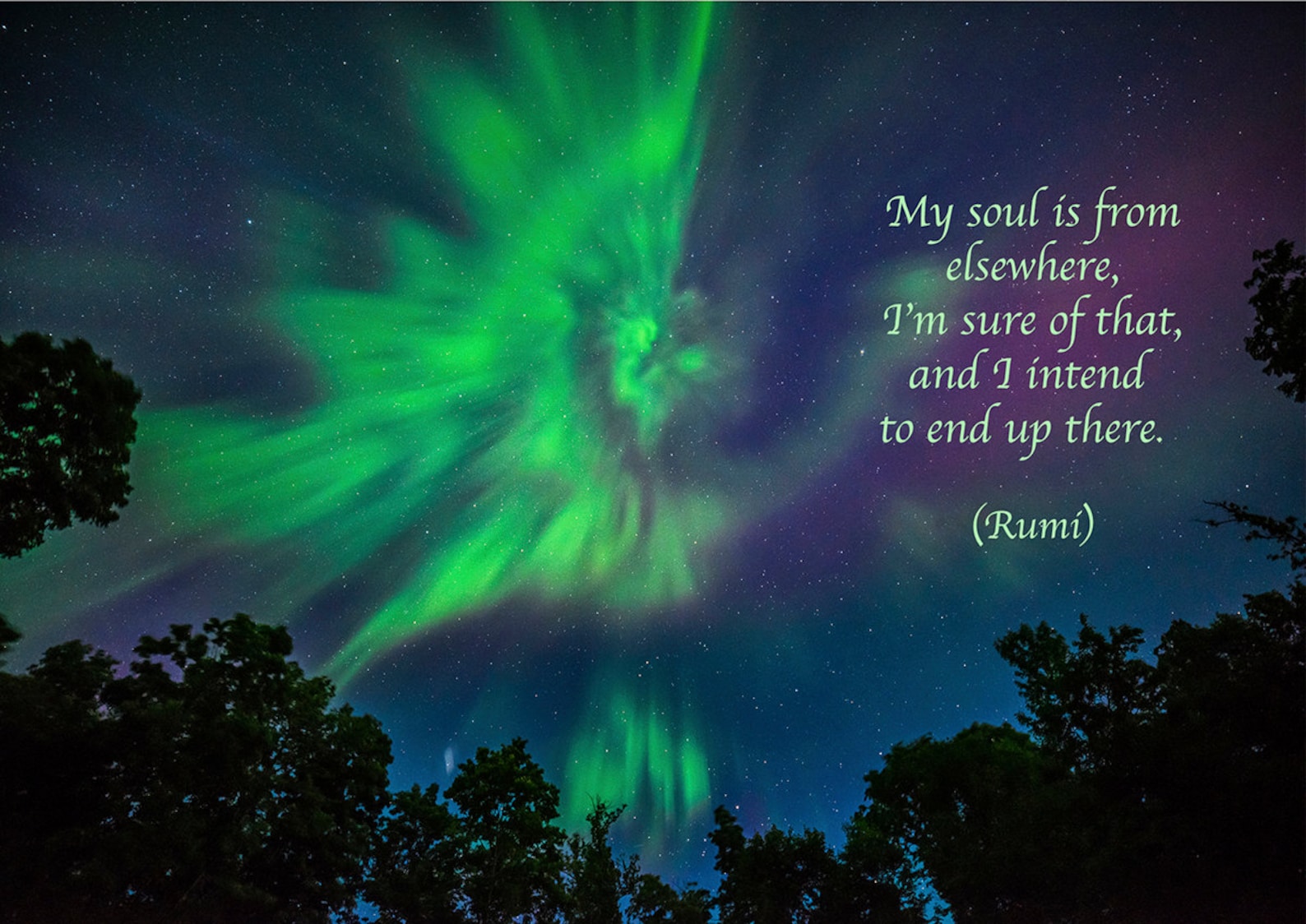Rumi Quote, Inspirational Poetry, Greeting Card, Moon, Reflection, Lake ...
