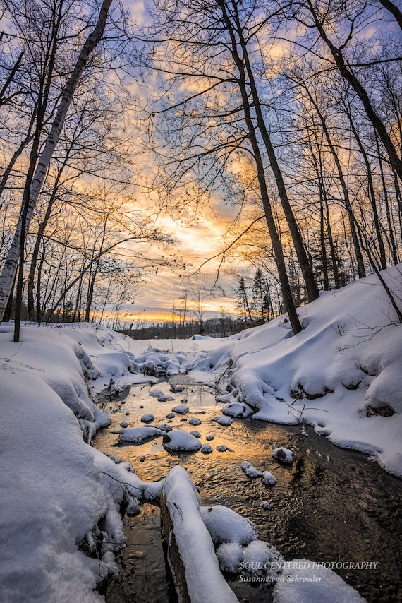 Sunset Snowy Forest