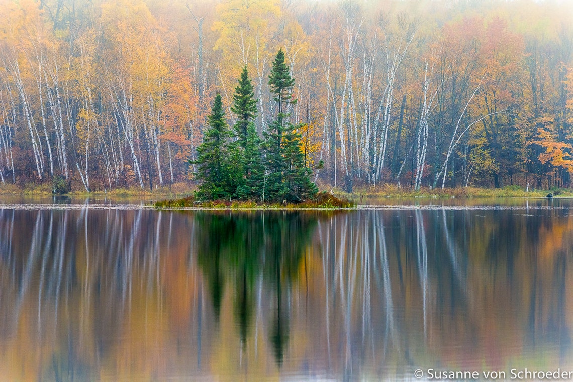 Nature Photography Autumn Landscape Dawn Birch Trees Fall - Etsy