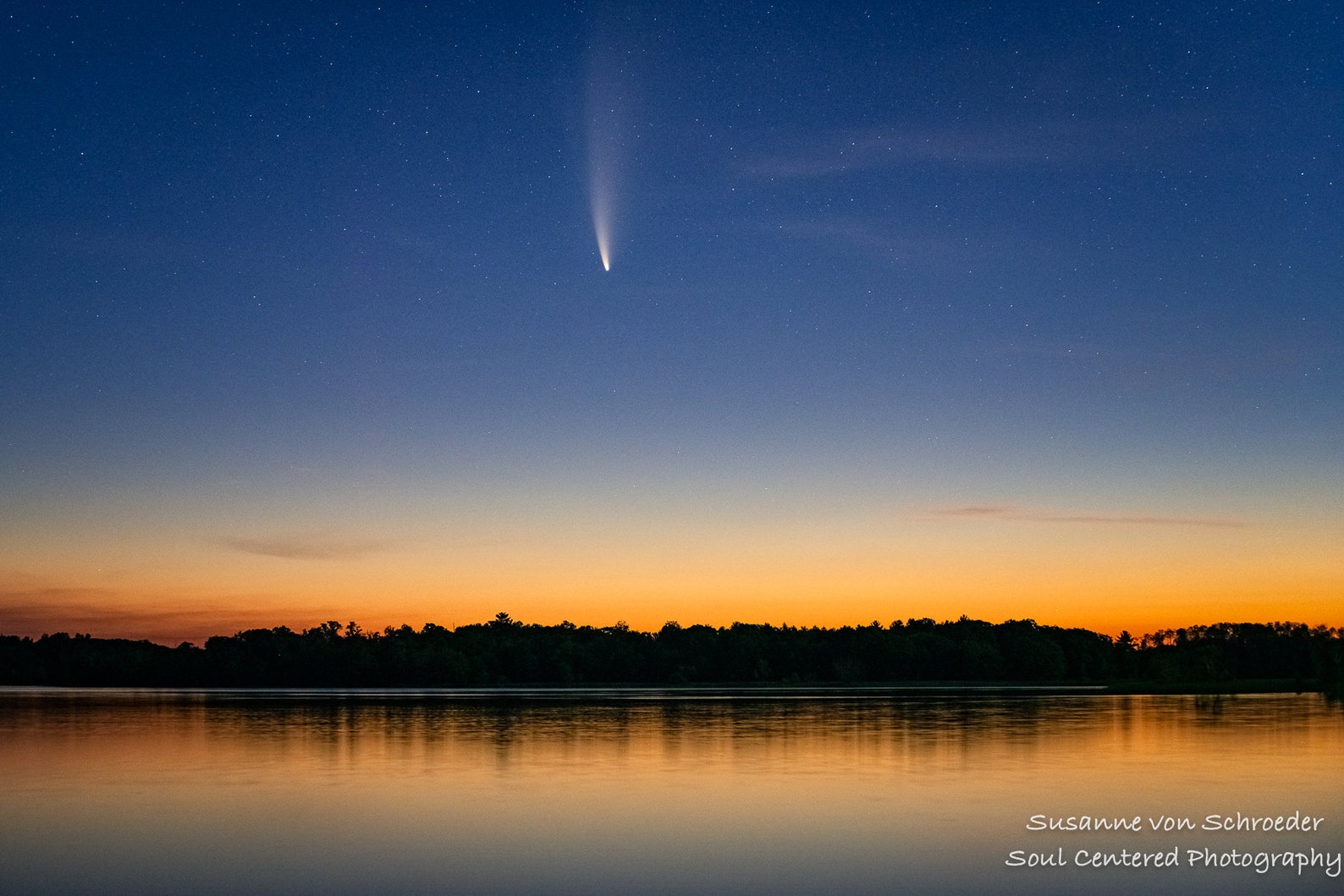 Astro Photography, Comet Neowise, Celestial Visitor, Firefly Photo ...