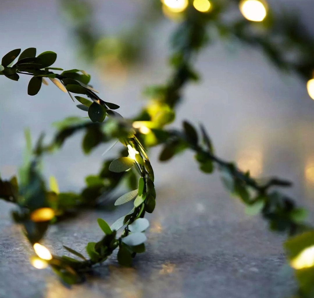 Garland LED String Lights, 7 Foot LED String Lights, Rainbow Light ...