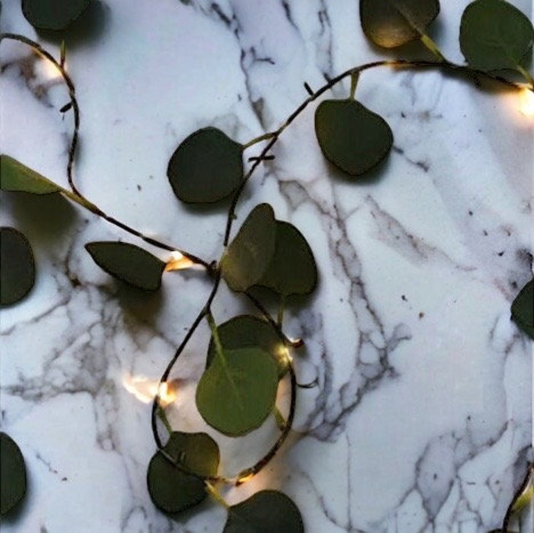 Eucalyptus Light Garland 7 Foot LED Leaf Garland Wedding Decorations ...