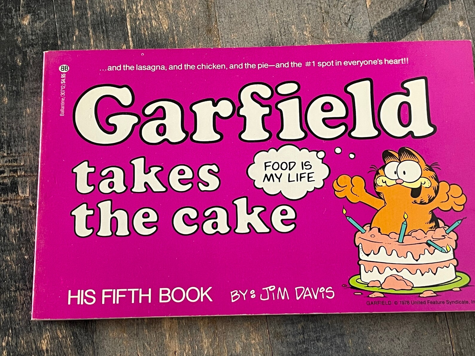 Garfield Takes the Cake His Fifth Book Jim Davis | Etsy