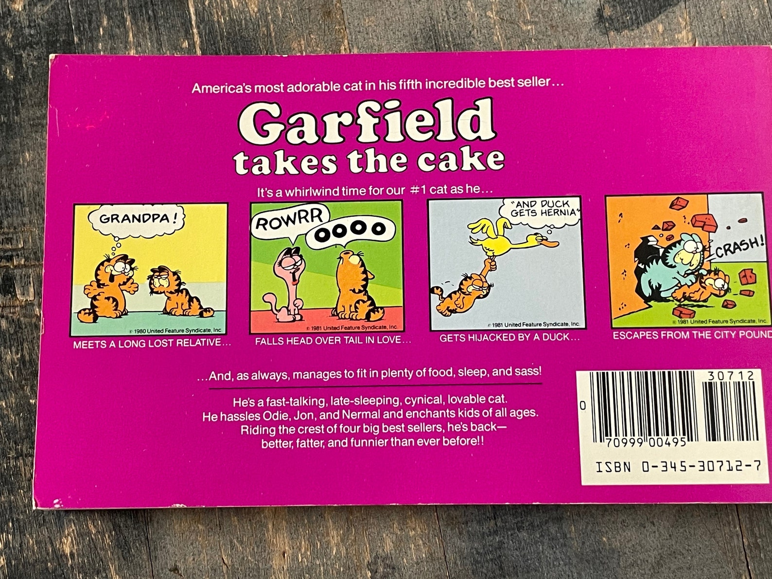 Garfield Takes the Cake His Fifth Book Jim Davis - Etsy
