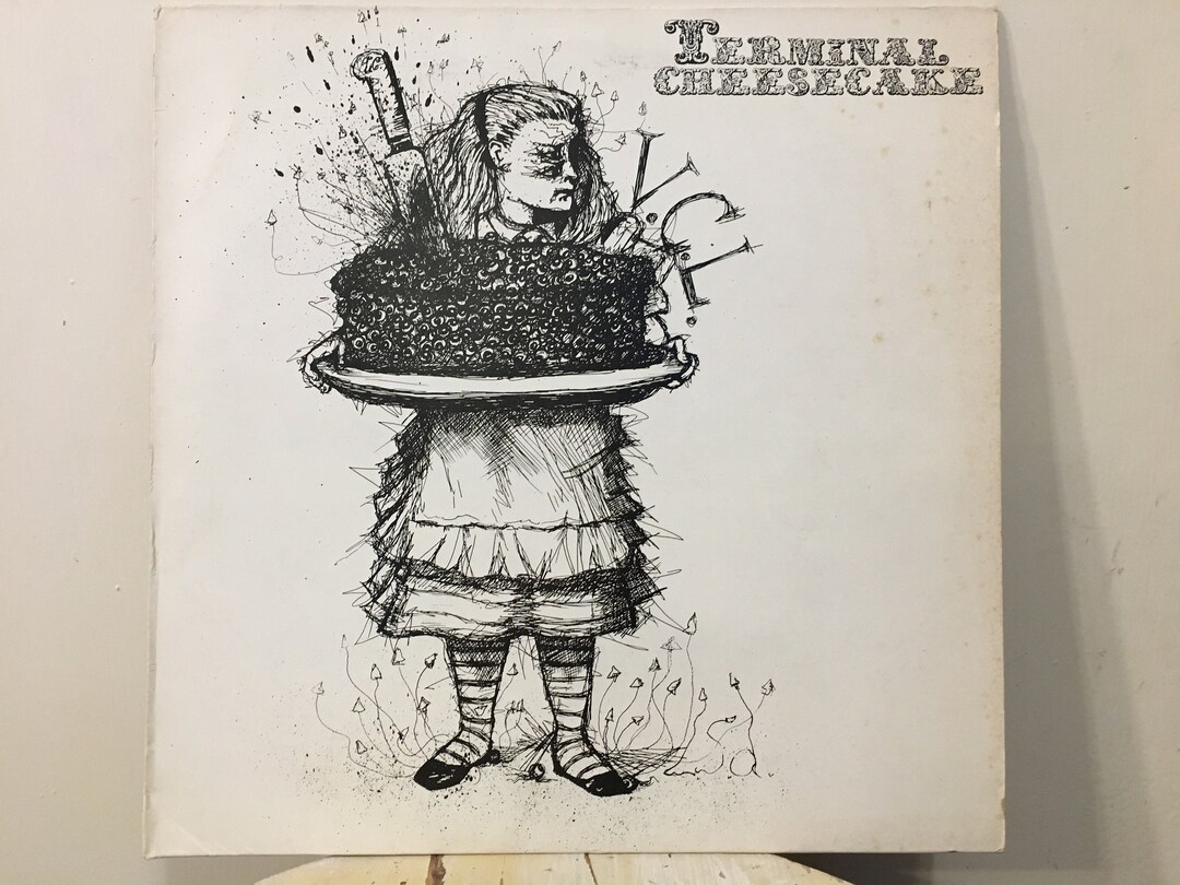 Terminal Cheesecake v.c.l. Vinyl Record, Indie Rock, Experimental - Etsy