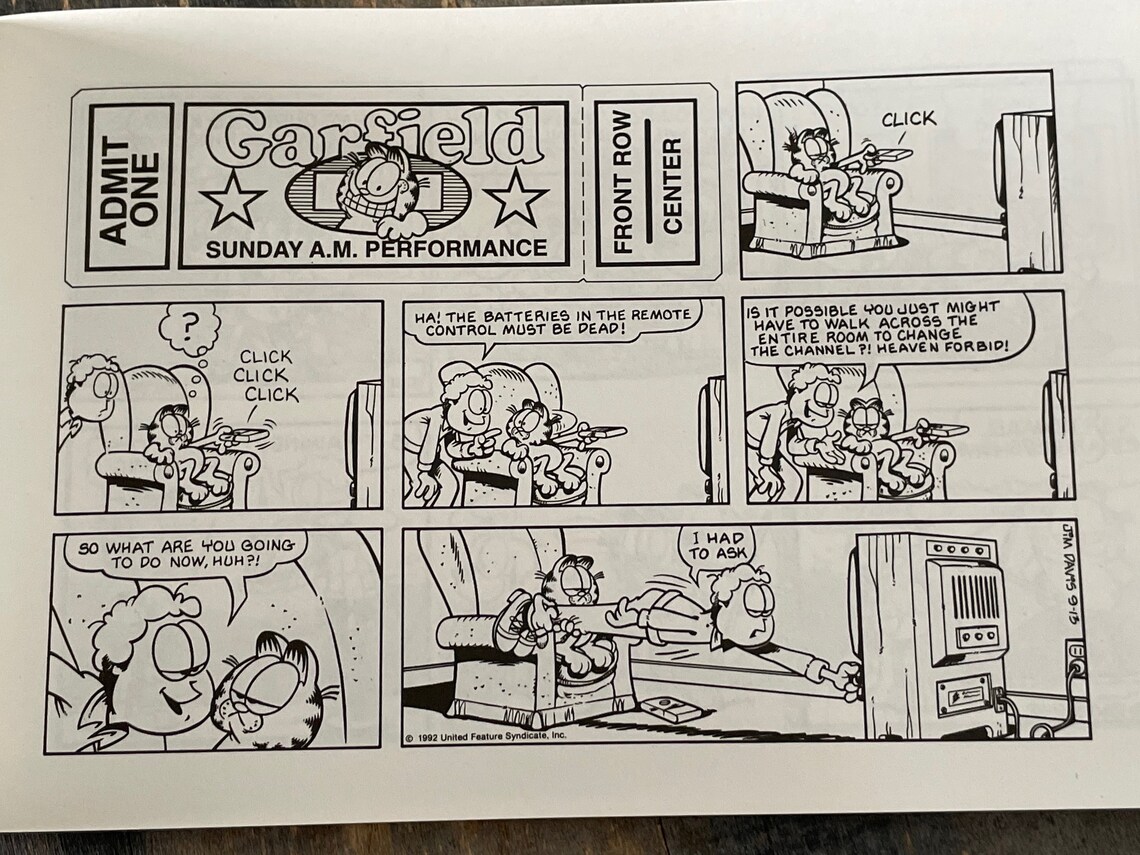 Garfield Hits the Big Time His 25th Book Jim Davis - Etsy