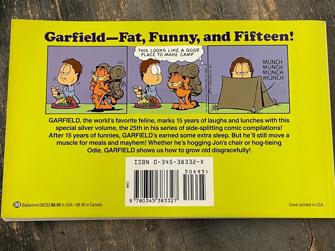 Garfield Hits the Big Time His 25th Book Jim Davis - Etsy