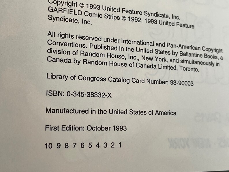 Garfield Hits the Big Time His 25th Book Jim Davis - Etsy