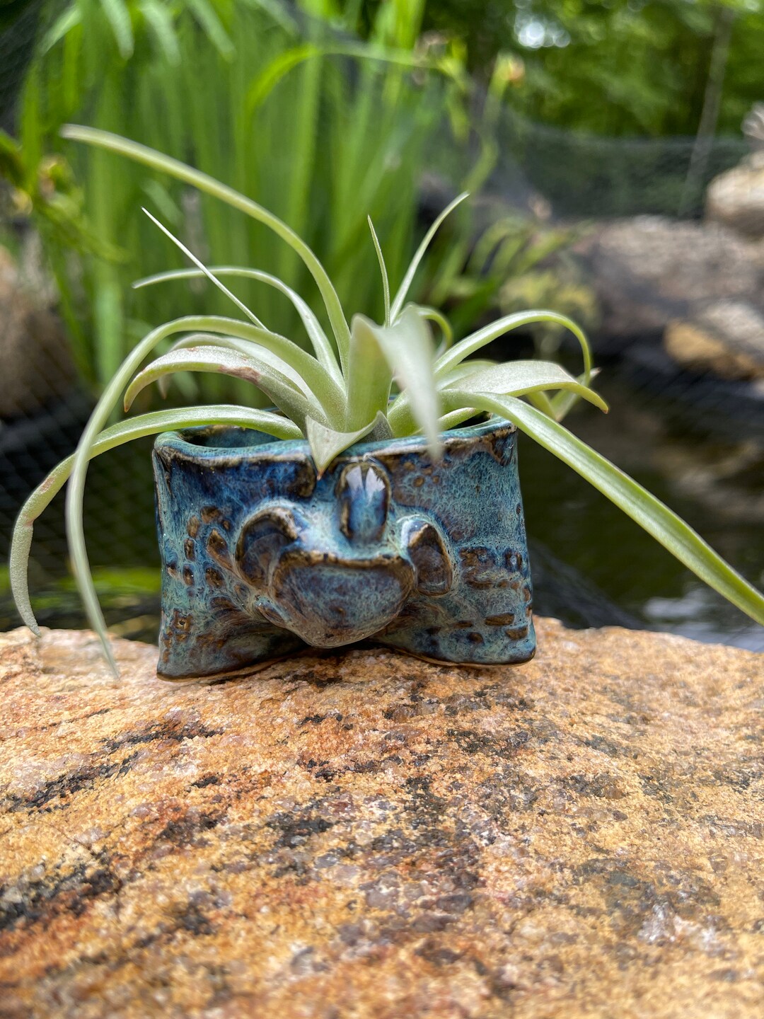 Sea Turtle Ceramic Air Plant Holder, Turtle Planter, Turtle Pottery ...