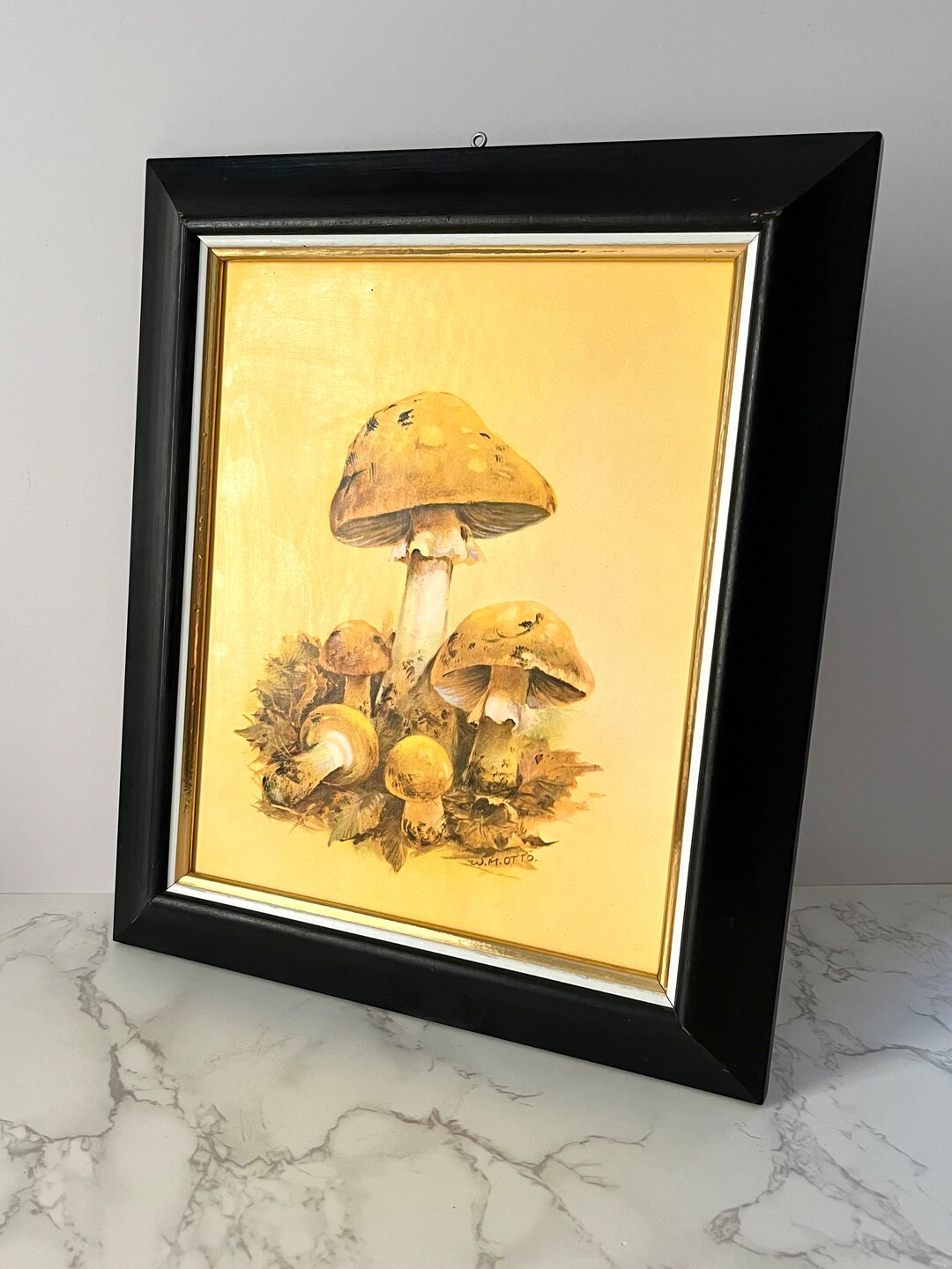 Vintage Framed Mushroom Print by W.M. Otto | 1970s Wall Decor | Gallery ...
