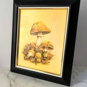 Vintage Framed Mushroom Print by W.M. Otto | 1970s Wall Decor | Gallery ...