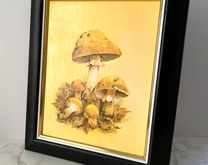 Vintage Framed Mushroom Print by W.M. Otto | 1970s Wall Decor | Gallery ...