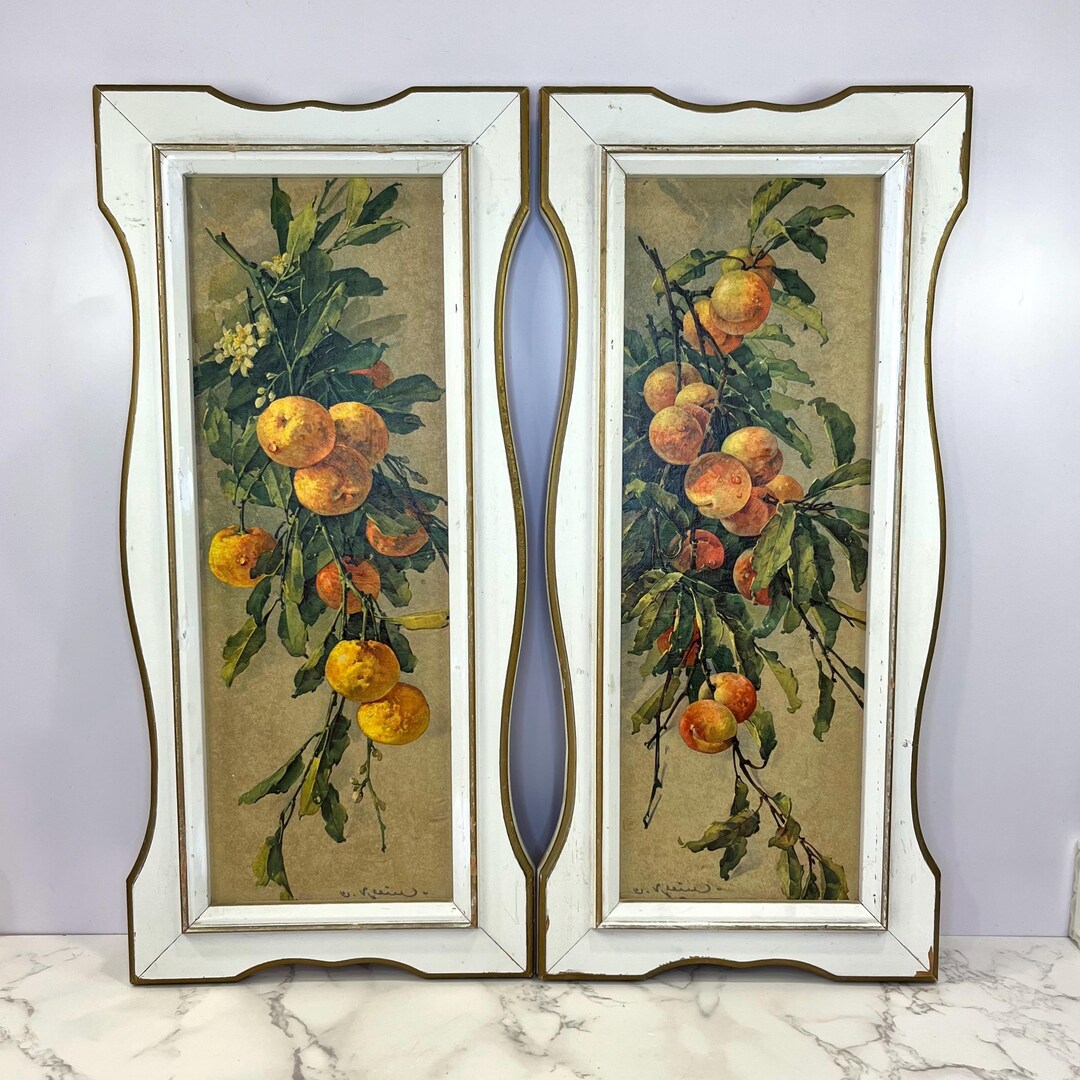 Vintage Framed Fruit Prints | Hollywood Regency Still Life Orange or ...