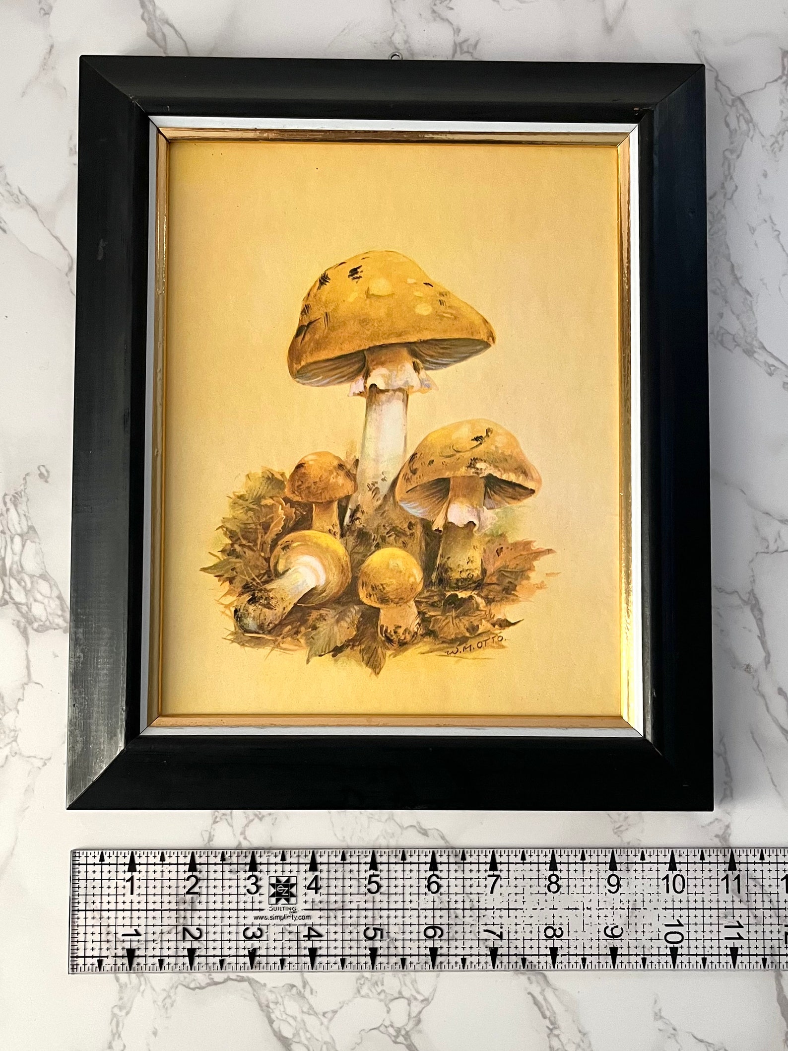 Vintage Framed Mushroom Print by W.M. Otto | 1970s Wall Decor | Gallery ...