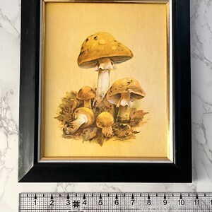 Vintage Framed Mushroom Print by W.M. Otto | 1970s Wall Decor | Gallery ...