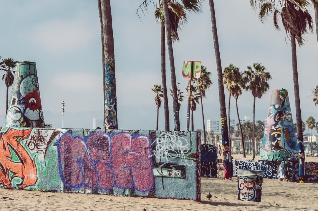 Venice Beach Palm Trees Graffiti California Fine Art Travel Photograph ...