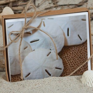 Sand Dollar Notecard | Beach Greeting Card | Coastal Note Card ...
