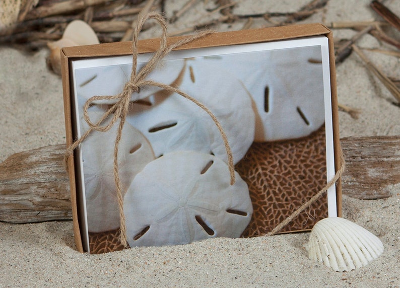 Sand Dollar Notecard | Beach Greeting Card | Coastal Note Card ...