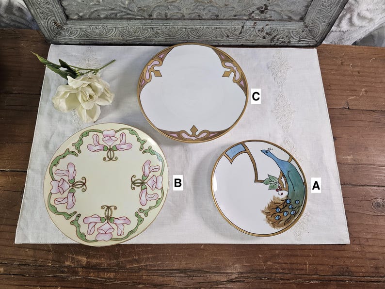 Early 1900s Hand Painted China Plates | Bavaria Rosenthal, Silesia, or ...