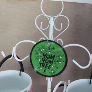 Vintage Yum Yum Tree, Bowls, 1960's Japan Yum Yum Tree Snack Set ...