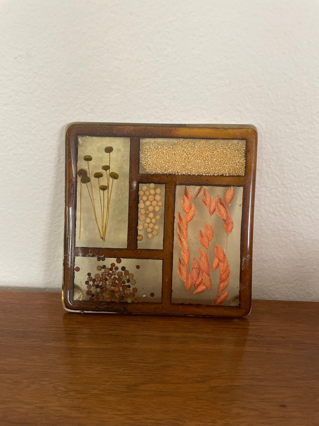 Vintage Resin Trivet, 1970's Seed and Pressed Flower Resin Trivet ...