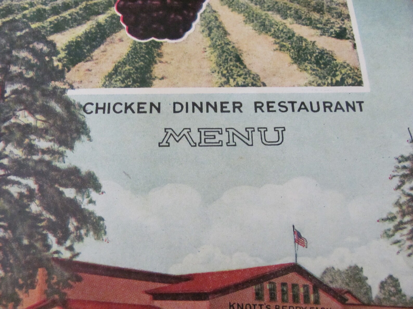 Vintage Knott's Berry Farm Menu 1950's Knott's - Etsy