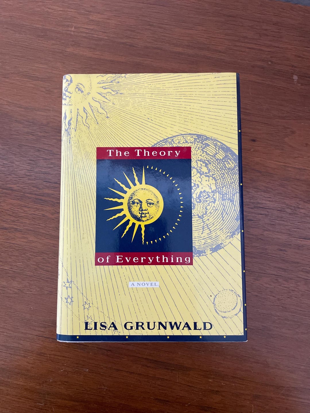 Vintage 1991 the Theory of Everything Book, Lisa Grunwald, First ...
