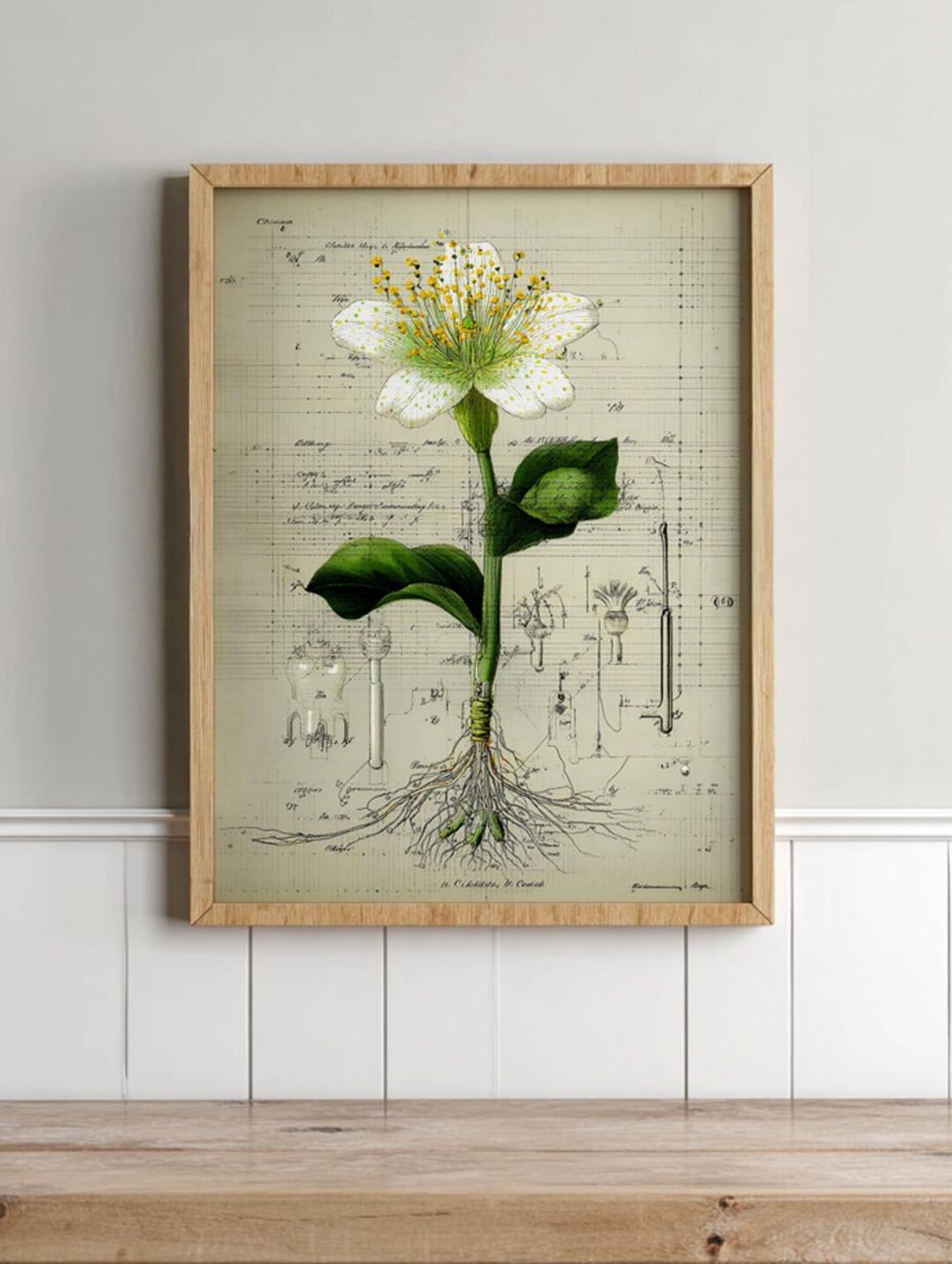 Botanical Encyclopedia Print: Herbal Flower Scientific Home Decor ...
