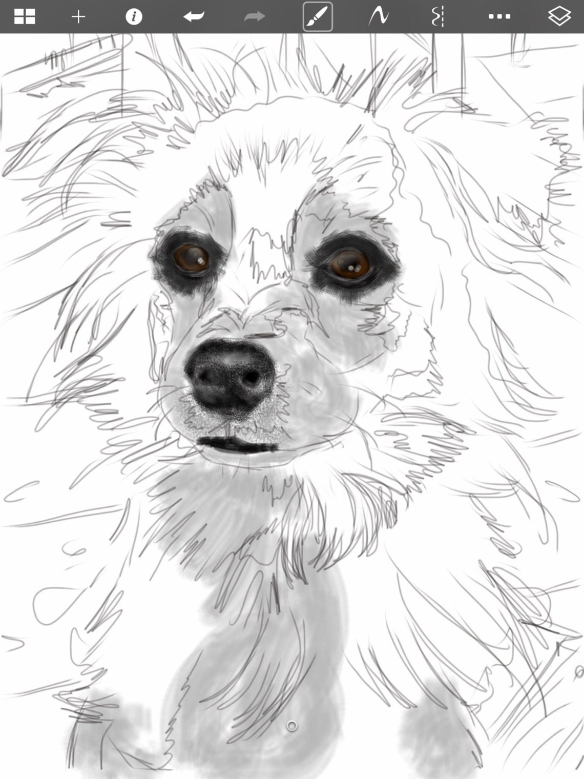 Custom Dog Pet Portrait Pet Portrait Custom Portrait Dog - Etsy