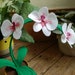 Orchid Felt Orchid Orchid Houseplants Faux Flowers - Etsy