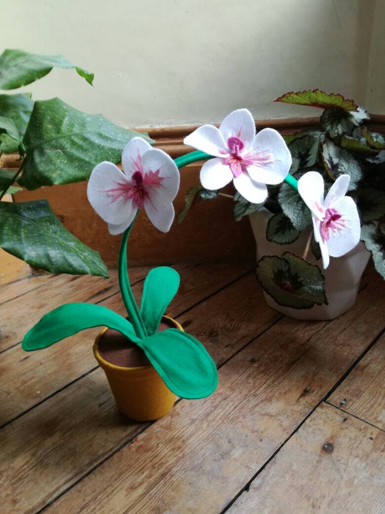 Orchid Felt Orchid Orchid Houseplants Faux Flowers - Etsy UK