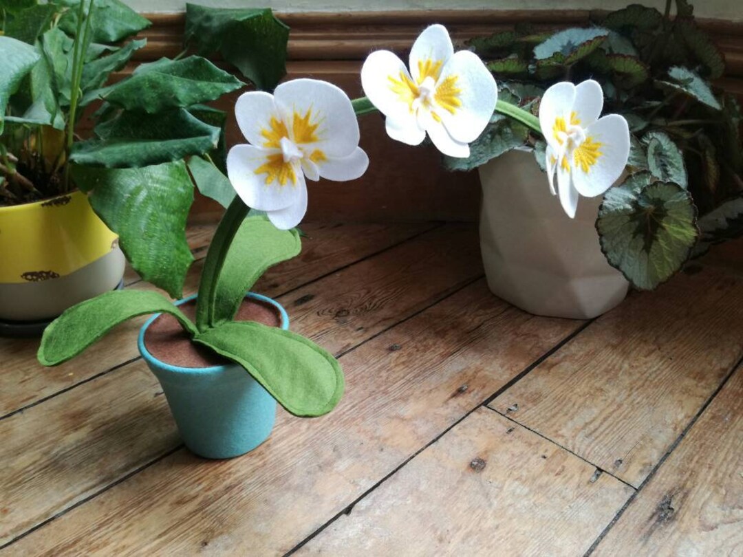 White and Yellow Orchid, Felt Orchid, Orchid Houseplants, Faux Flowers ...