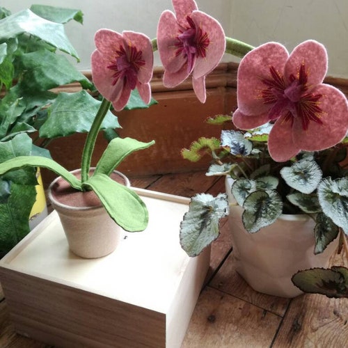 Orchid Felt Orchid Orchid Houseplants Faux Flowers - Etsy