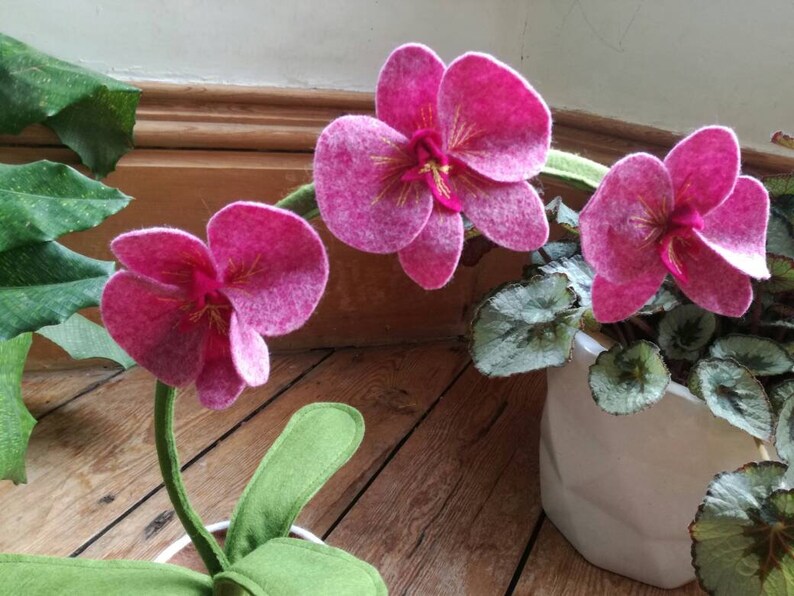 Marl Cerise Pink Orchid Felt Orchid Orchid Houseplants - Etsy
